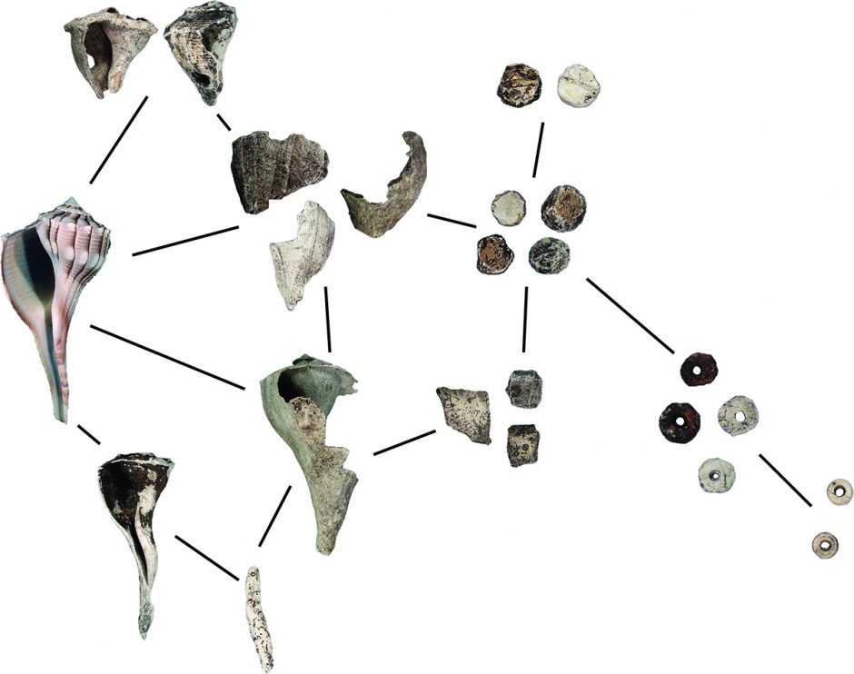 Raleigh Island Shell Rings – Laboratory of Southeastern Archaeology